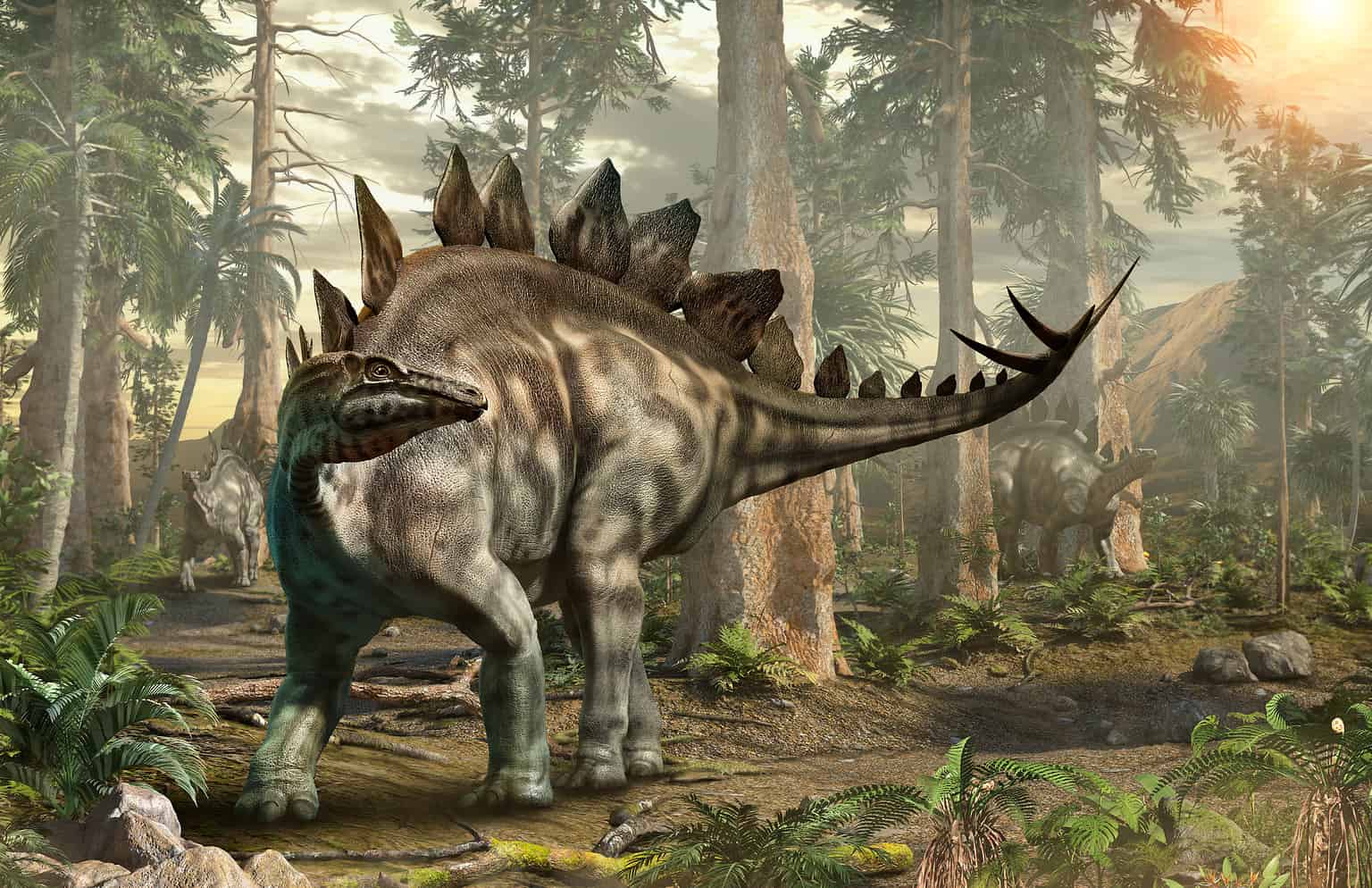 12 Herbivore Dinosaurs That Fed on Plants - A-Z Animals
