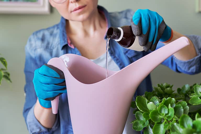 Organic vs. Synthetic Fertilizer: Discover the Pros and Cons of Each ...