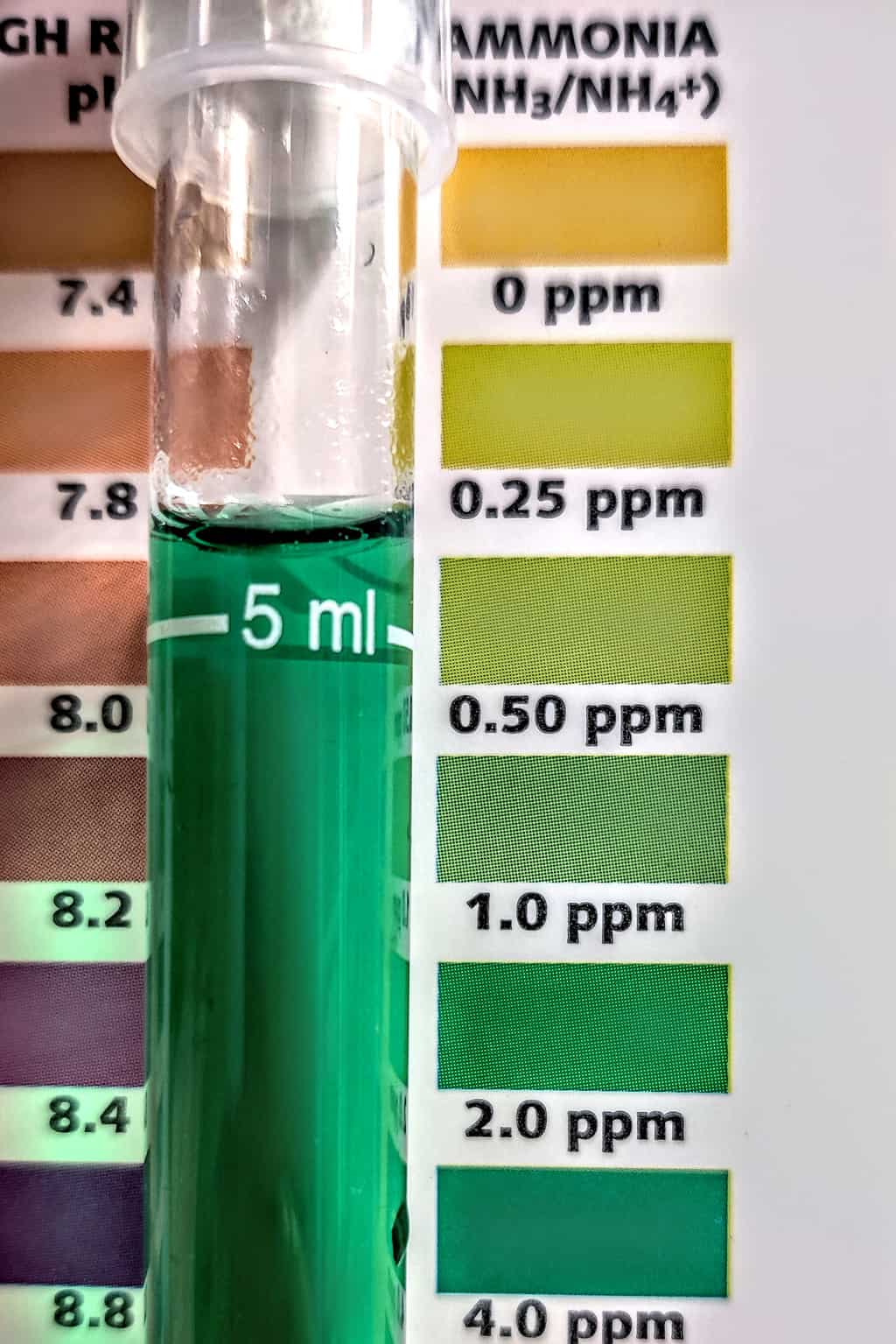 7 Effective Ways to Quickly Reduce Ammonia in a Fish Tank - A-Z Animals