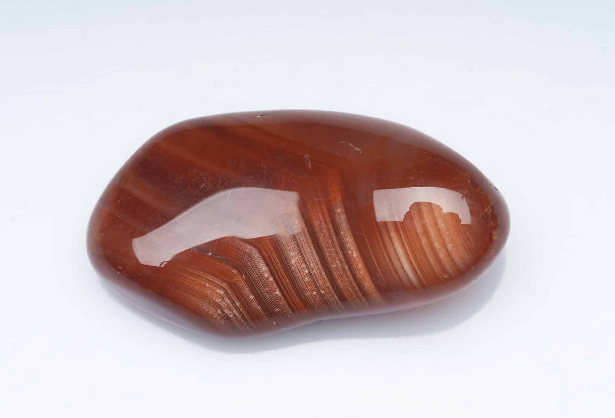 5 Animals and Mythological Creatures Associated With Fire - A-Z Animals