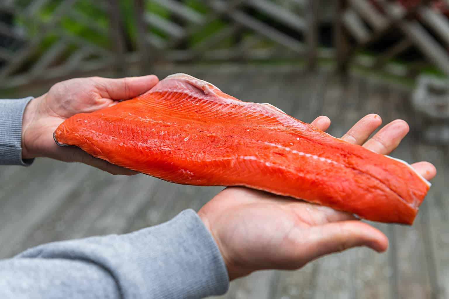 Red Salmon vs. Pink Salmon: What Are the Differences? - A-Z Animals