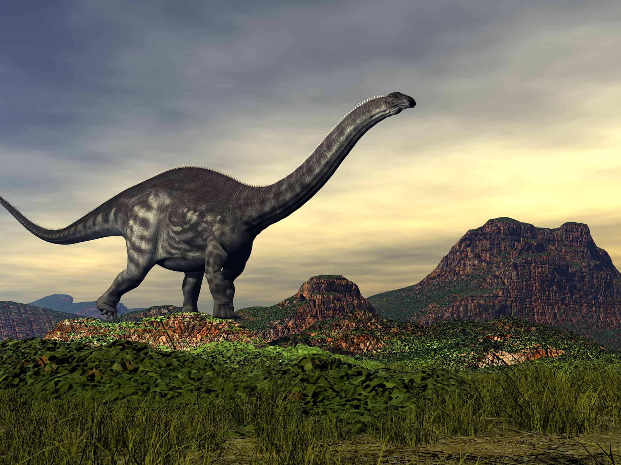 12 Herbivore Dinosaurs That Fed on Plants - A-Z Animals