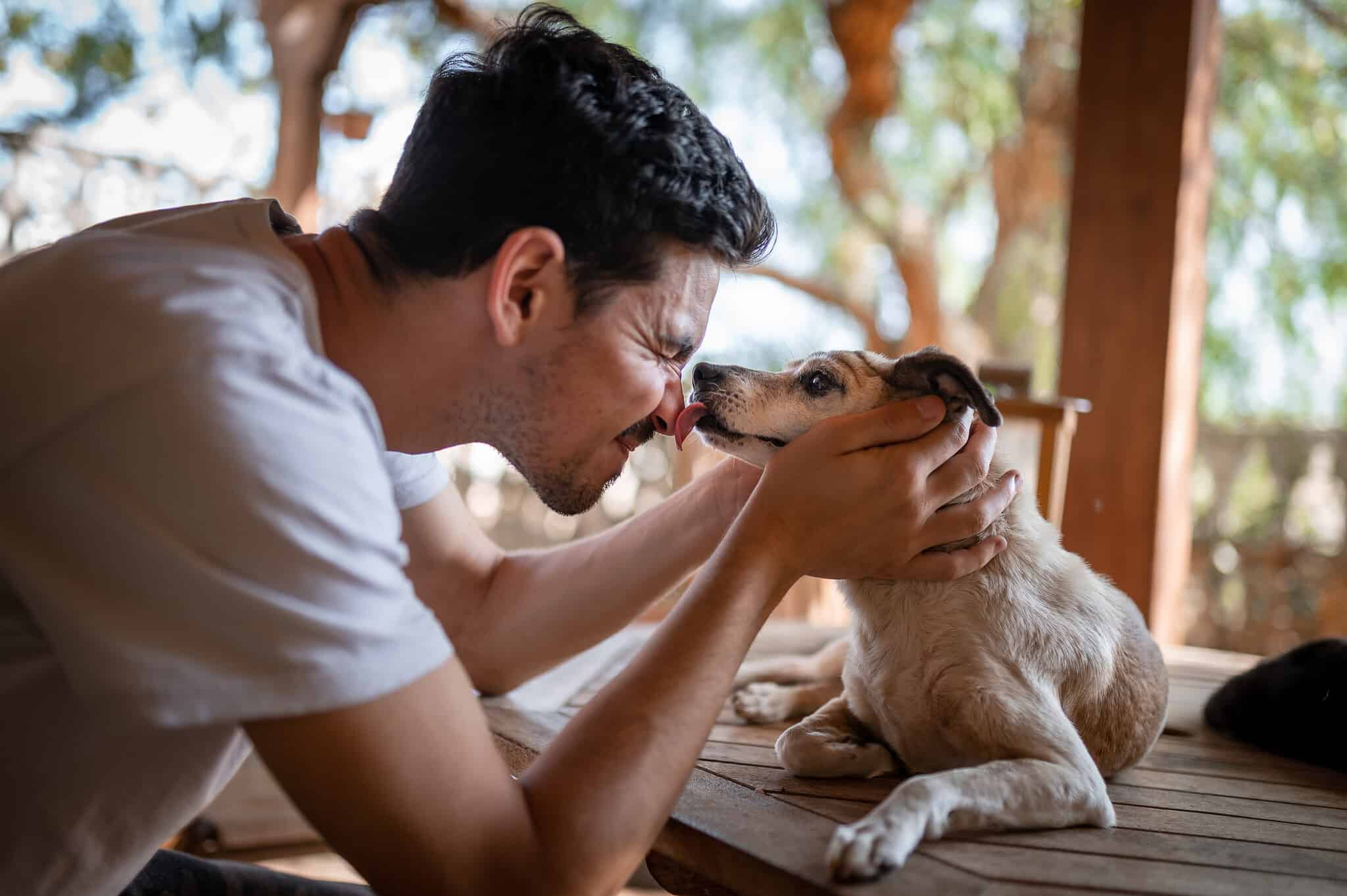 12 Signs of Stress in Dogs and How to Help - A-Z Animals