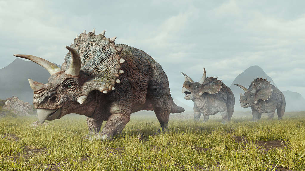 6 Dinosaurs That Were Fierce Enough To Kill A T Rex A Z Animals 6 Dinosaurs That Were Fierce Enough To Kill A T Rex A Z Animals