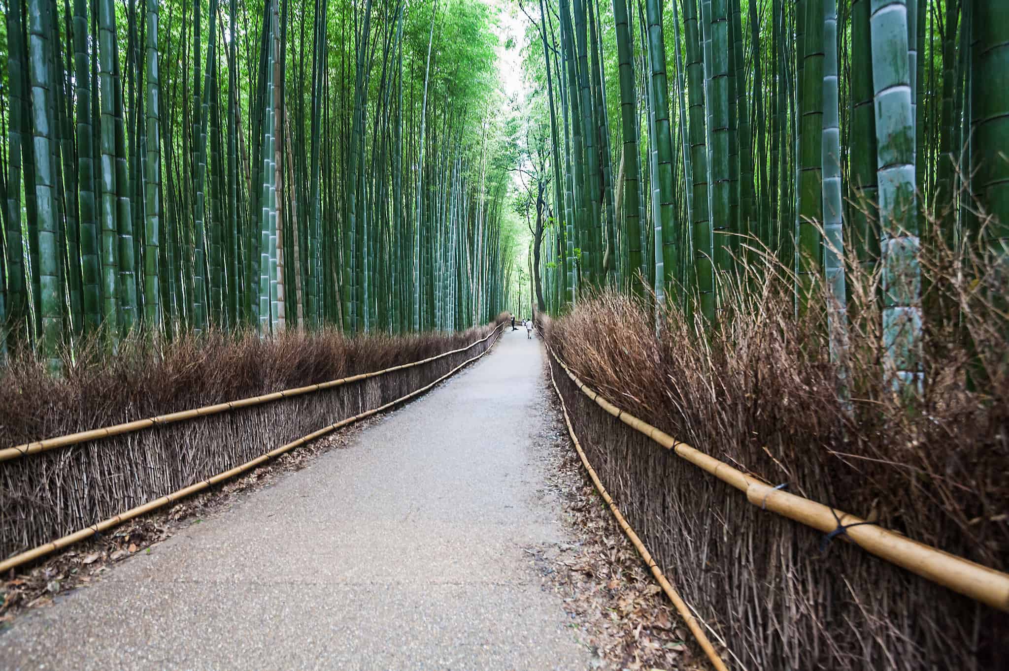 Discover the Japanese Creation Myth on How The World Began