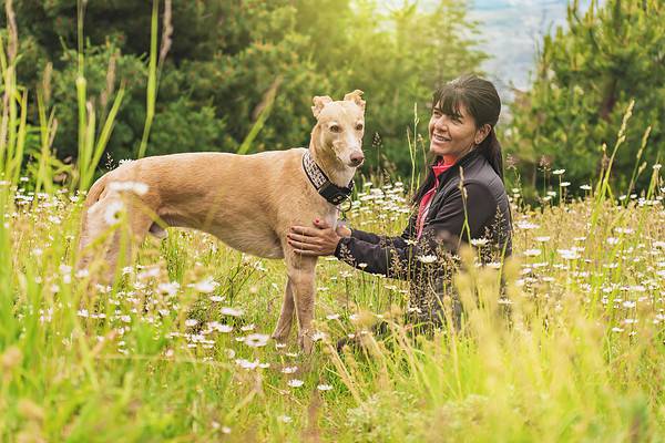 The 200+ Best Native American Dog Names - A-Z Animals