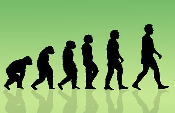Discover the Science Behind Why There Are No Three-Legged Animals - A-Z ...