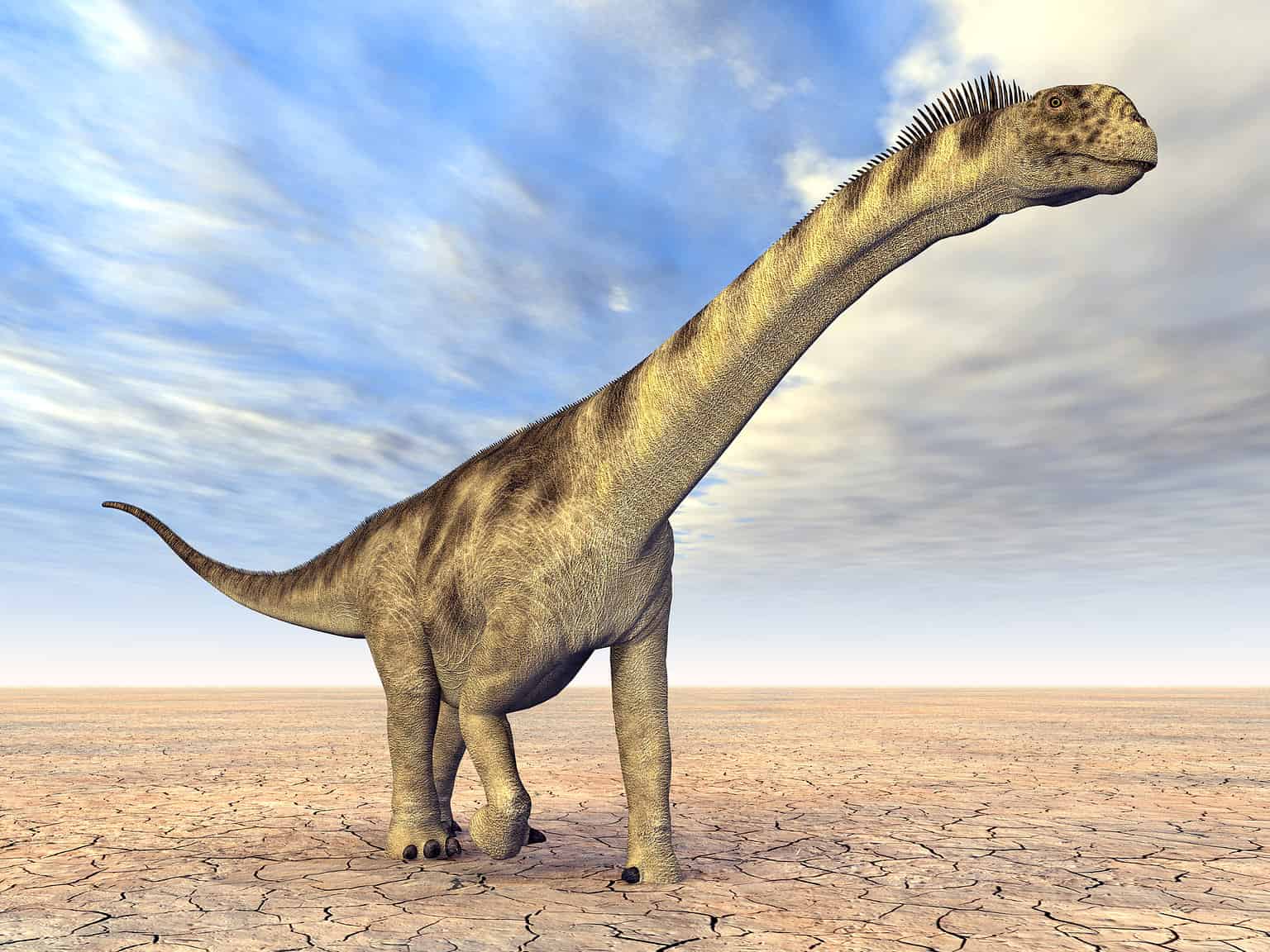 Discover Camarasaurus: Where It Roamed, Diet, Predators, and More! - A ...