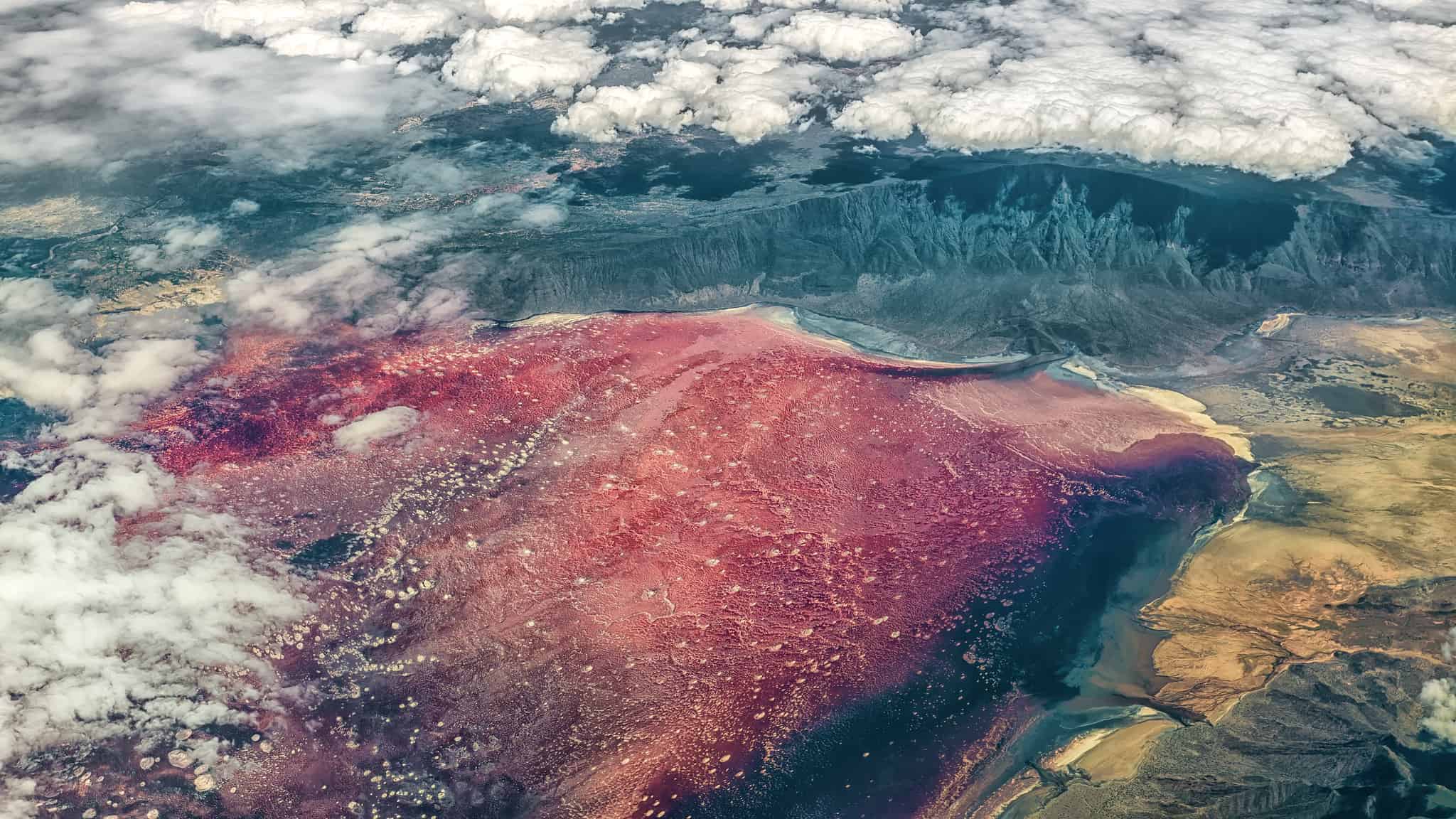 The Mysterious Lake in Tanzania That Turns Animals Into Stone - A-Z Animals