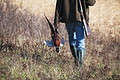 The 20 States With the Absolute Best Pheasant Hunting in 2024 - A-Z Animals
