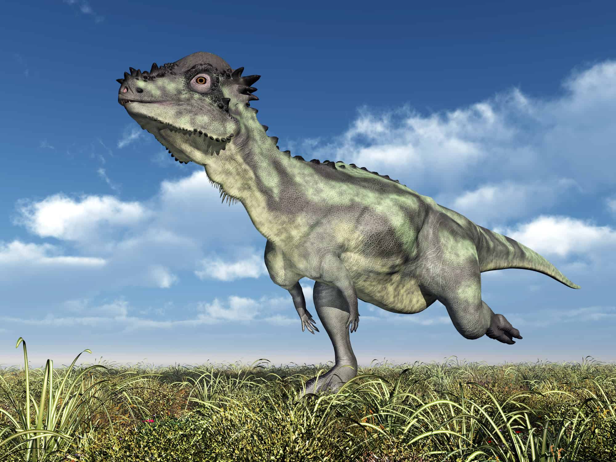 12 Herbivore Dinosaurs That Fed on Plants - A-Z Animals