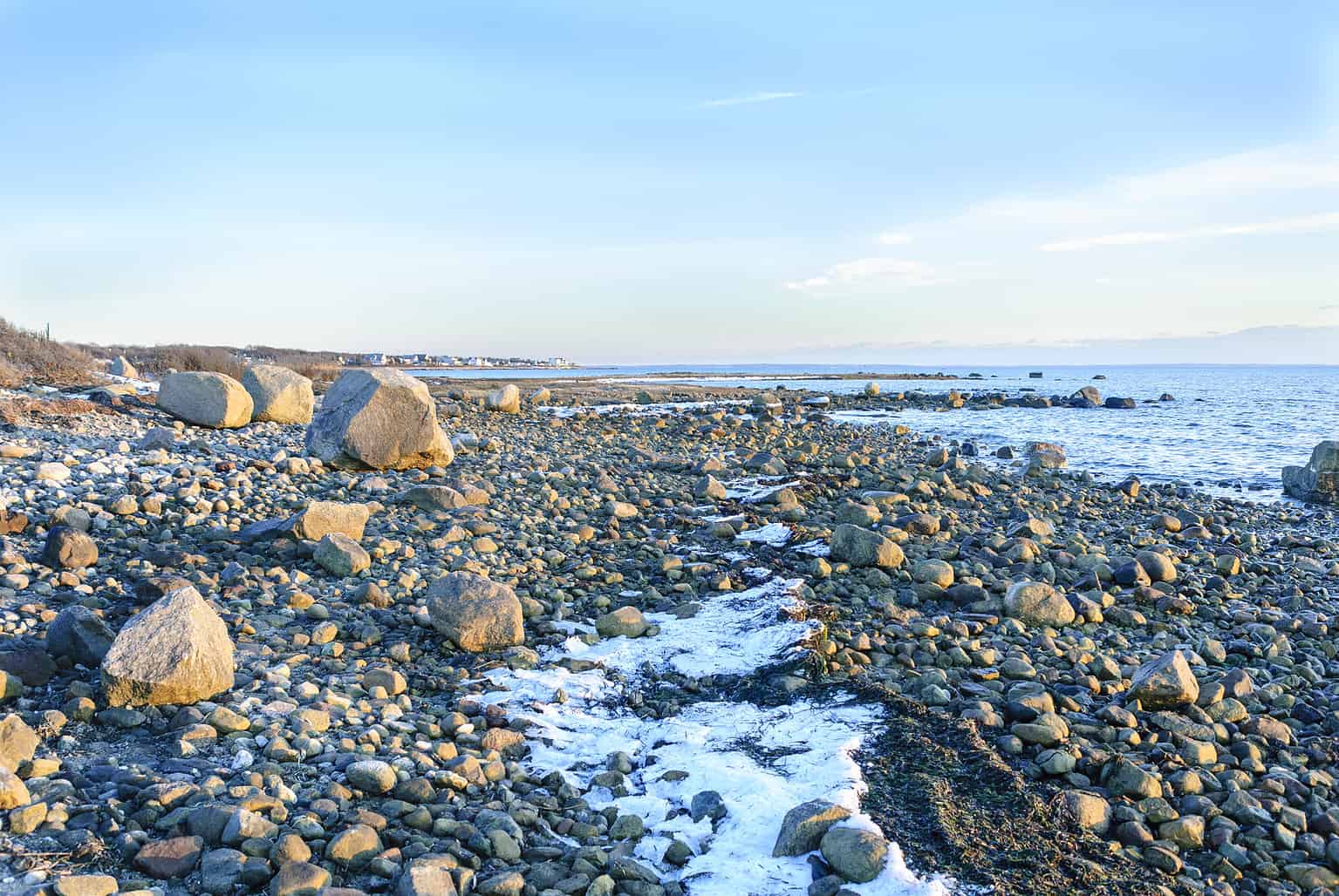 What Lives in Buzzards Bay and Is It Safe to Swim? - A-Z Animals