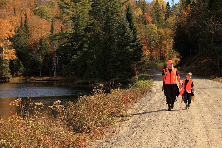 Your Guide to Vermont’s 2025 Bear Hunting Season - A-Z Animals