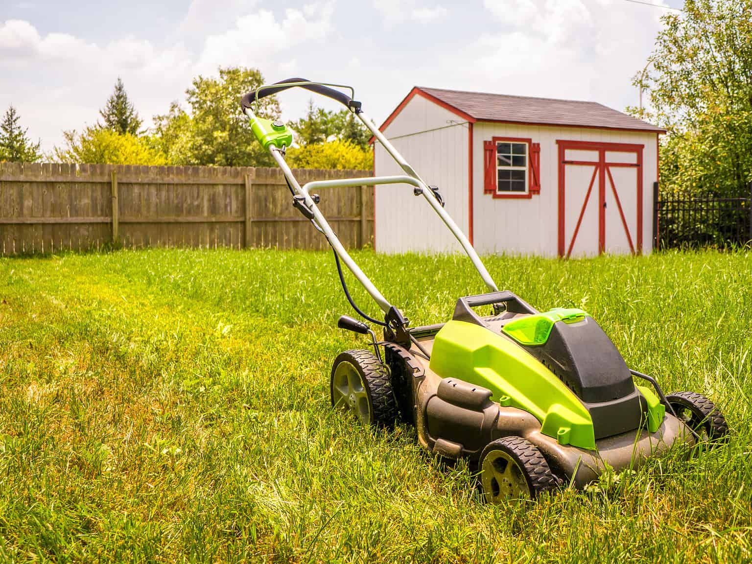 10 Natural Ways to Get Rid of Crickets Inside Your House