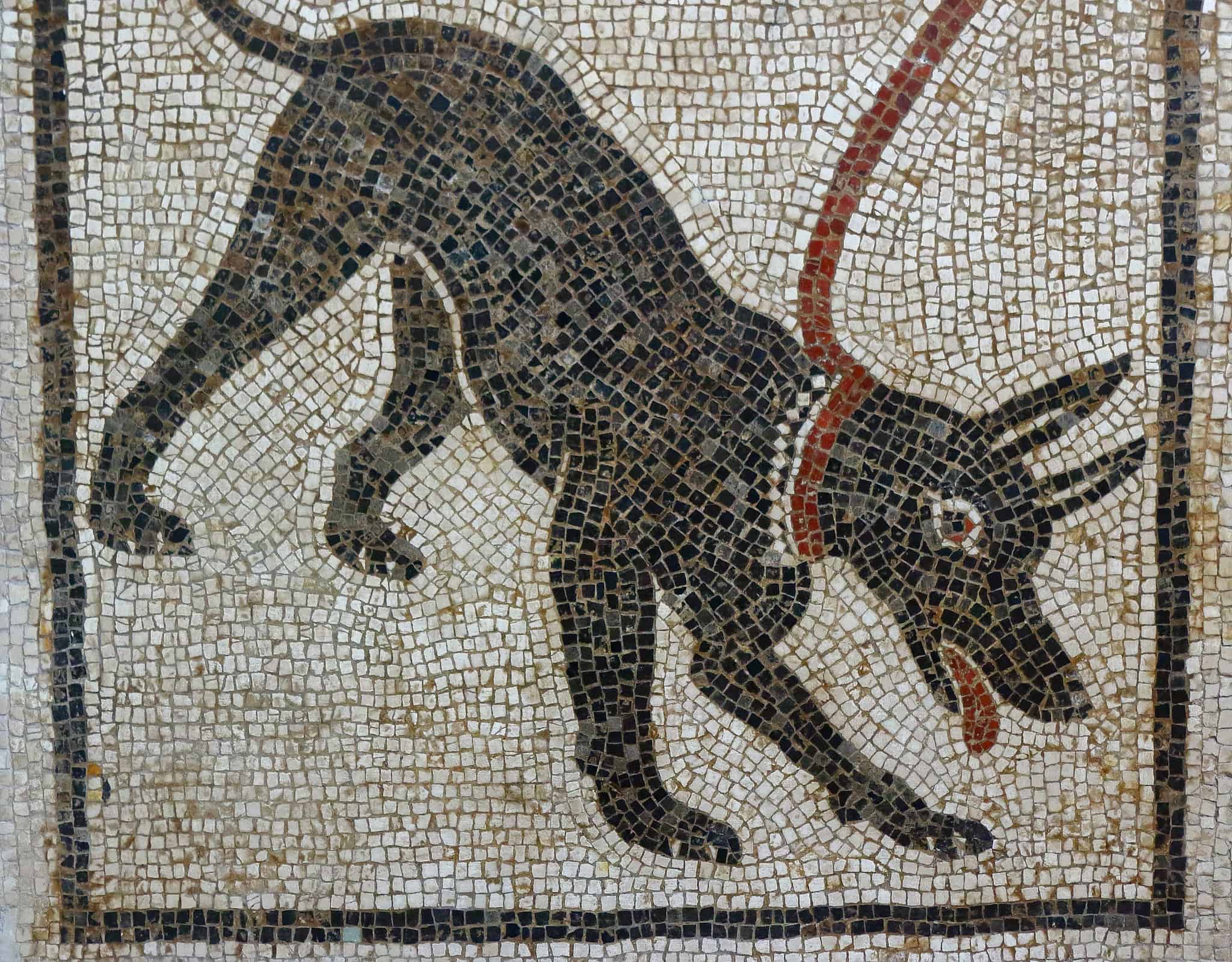 In Ancient Times These Were the 185 Most Popular Dog Names - A-Z Animals