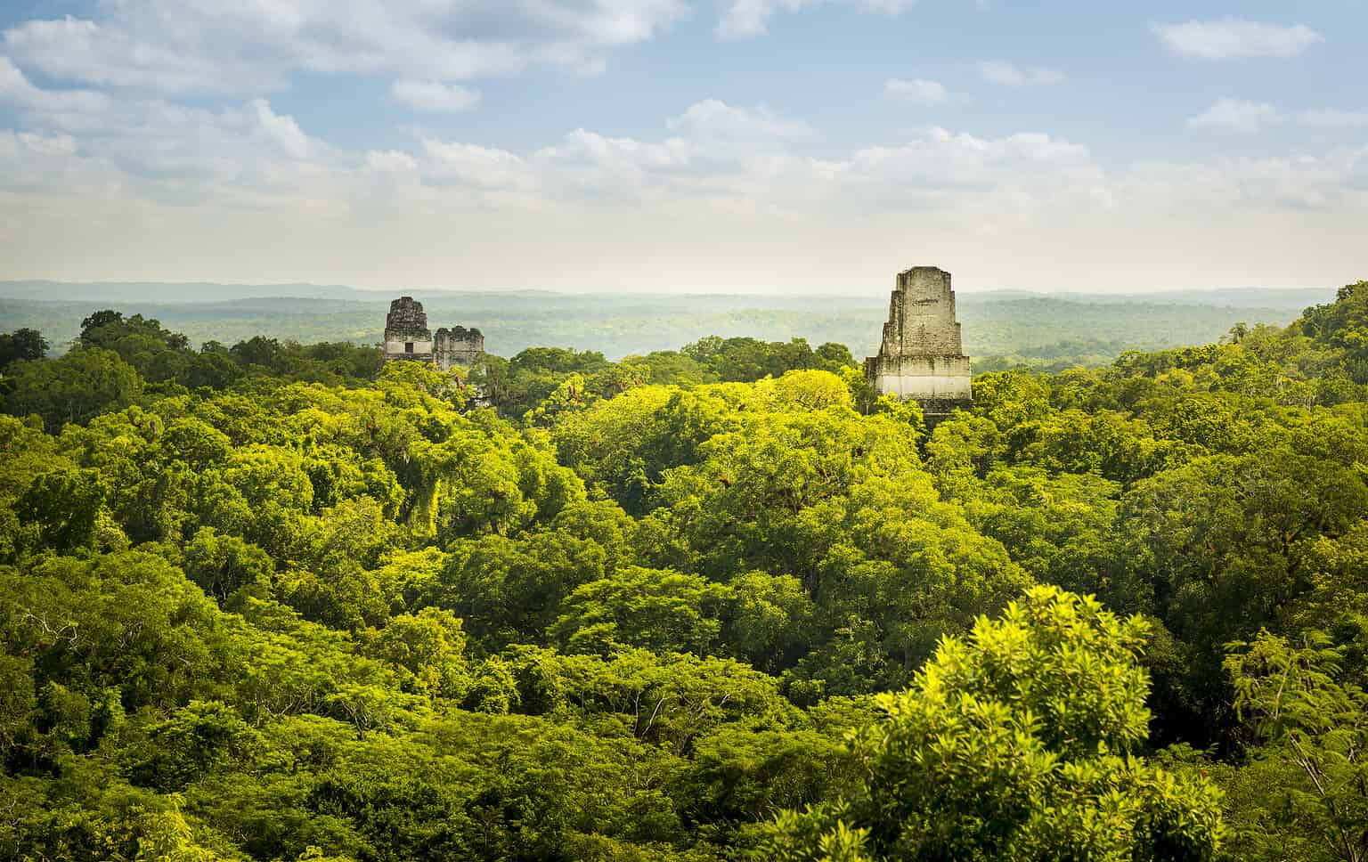 Colonial History Predicts Wildlife Attitudes Better Than Economics ...