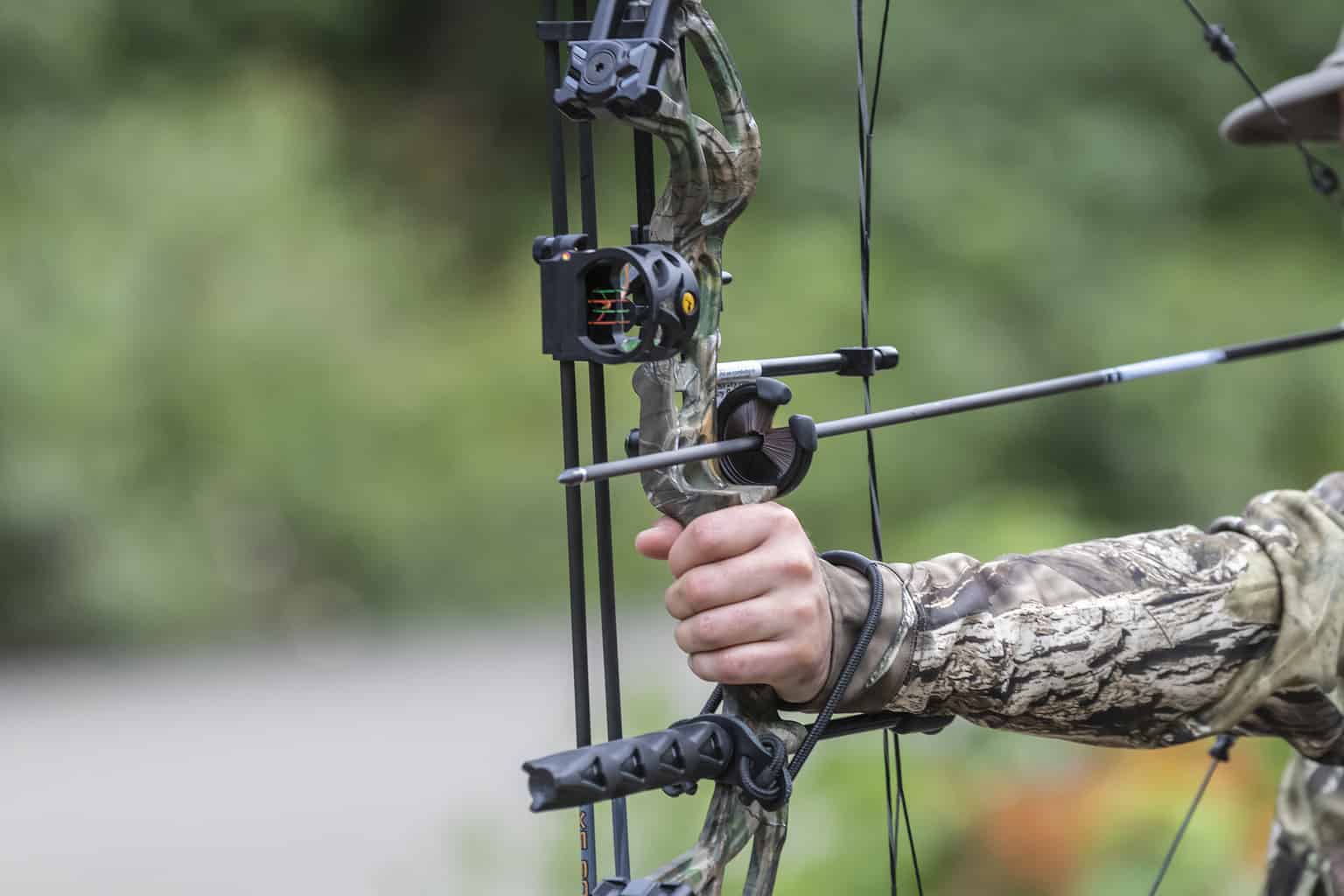 The Arkansas Deer Rut Is One of Nature’s Wildest Spectacles - A-Z Animals