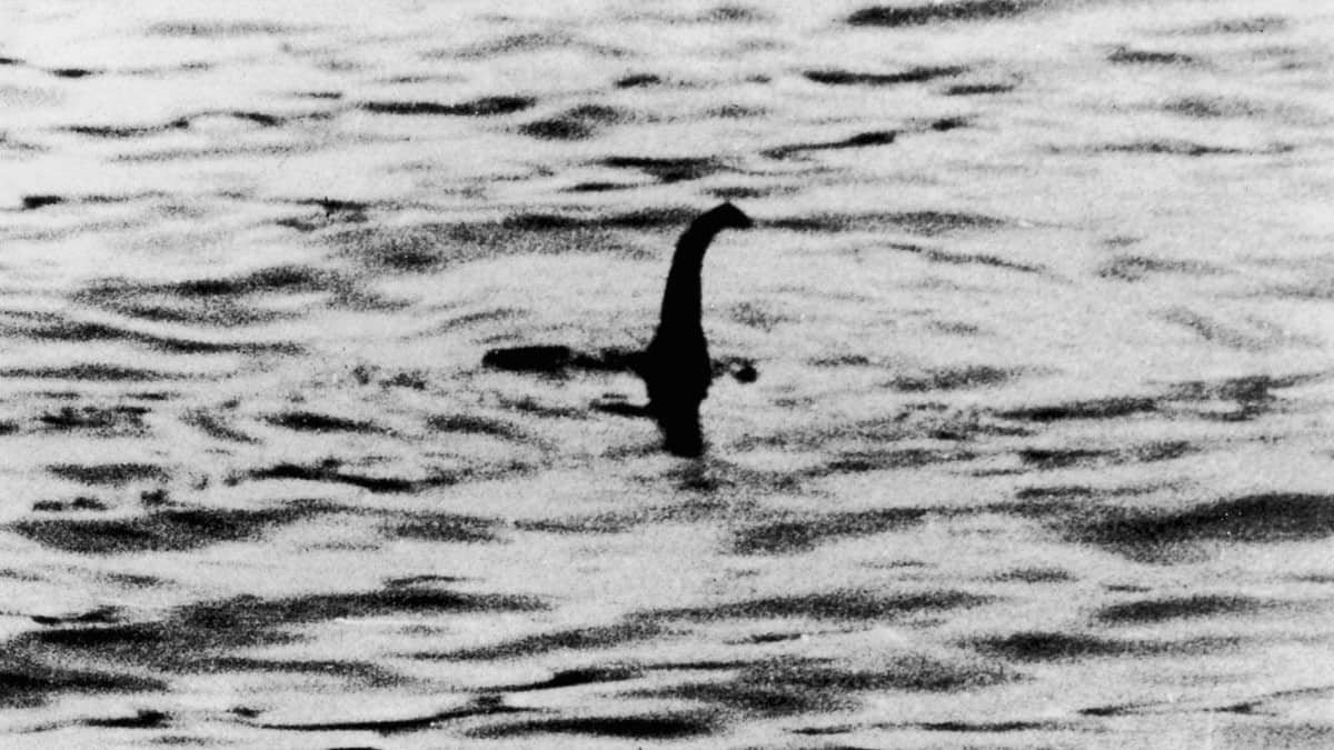 12 Ohio Cryptids: Appearance, Behavior, and Location - A-Z Animals