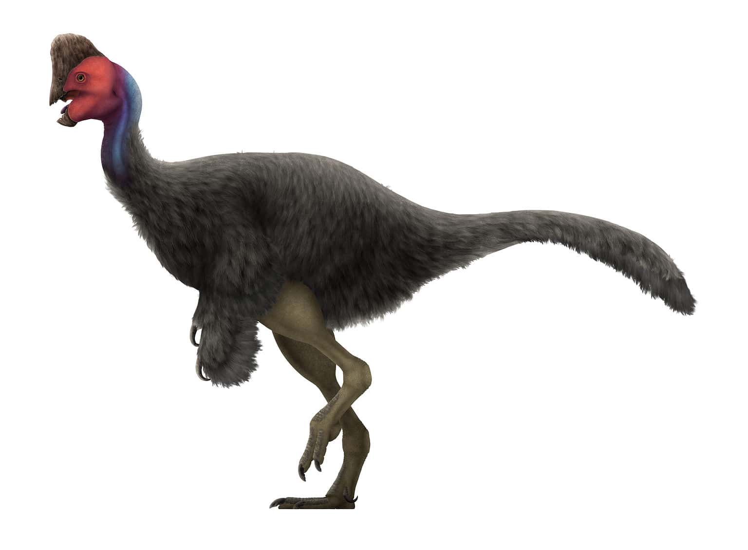 Discover 7 Dinosaurs That Start With R - A-Z Animals