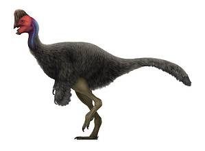 Discover 7 Dinosaurs That Start With R - A-Z Animals