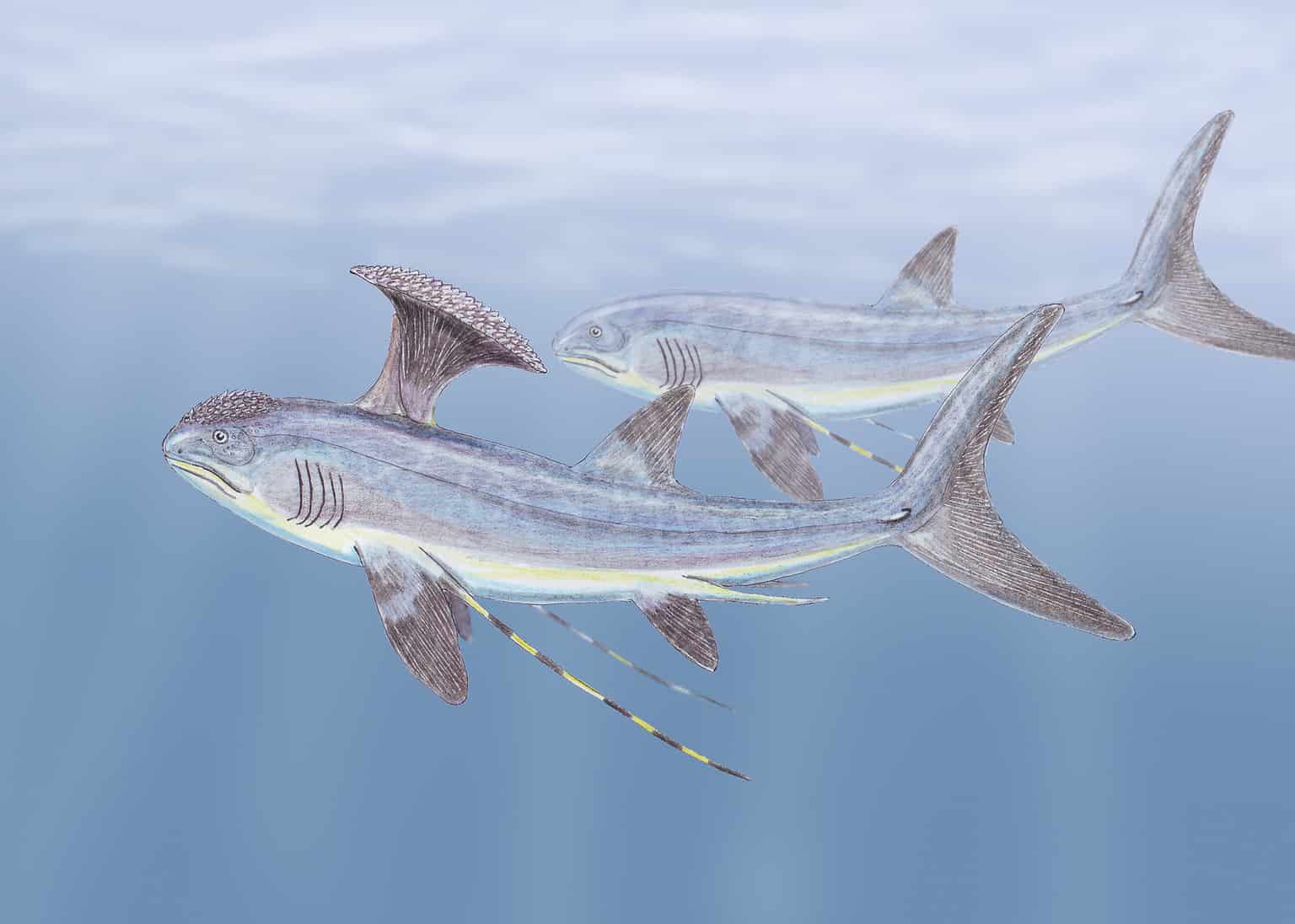 Discover 9 Incredible Carboniferous Period Animals - A-Z Animals