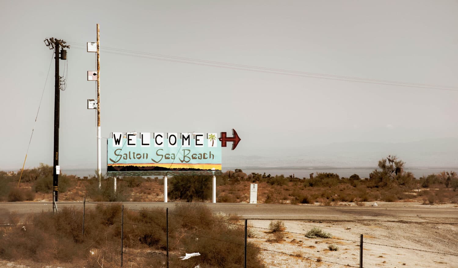 Just How Salty Is the Salton Sea in California? - A-Z Animals