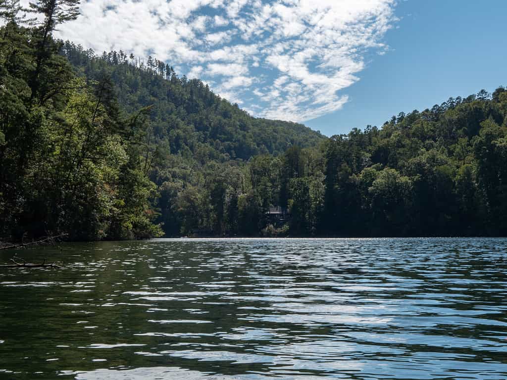 Remote lakes in south carolina to fish and swim - A-Z Animals