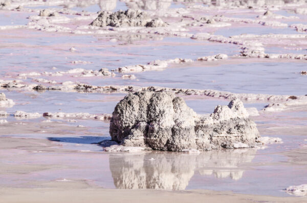 Just How Salty Is the Salton Sea in California? - A-Z Animals