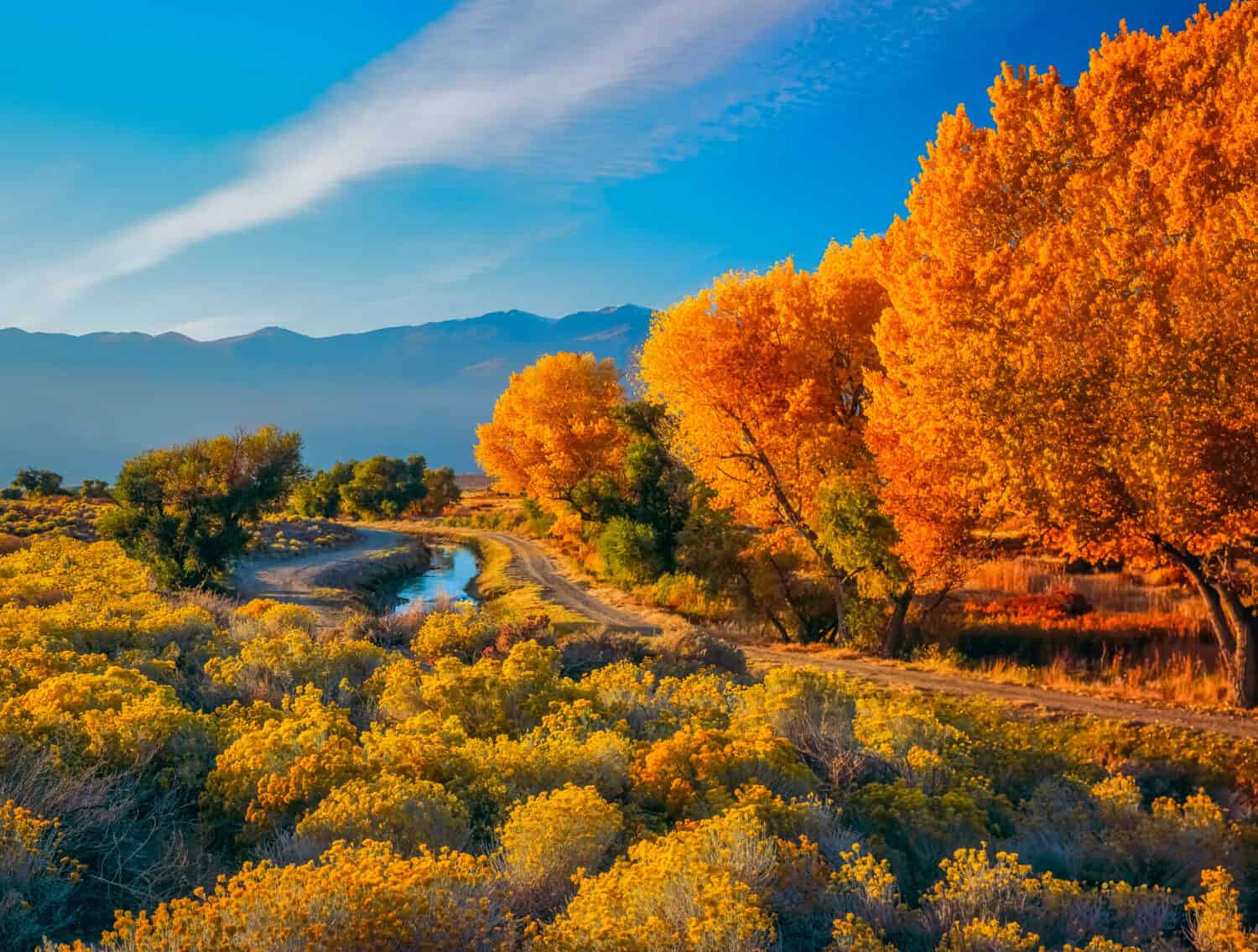 When Leaves Change Color in California - A-Z Animals