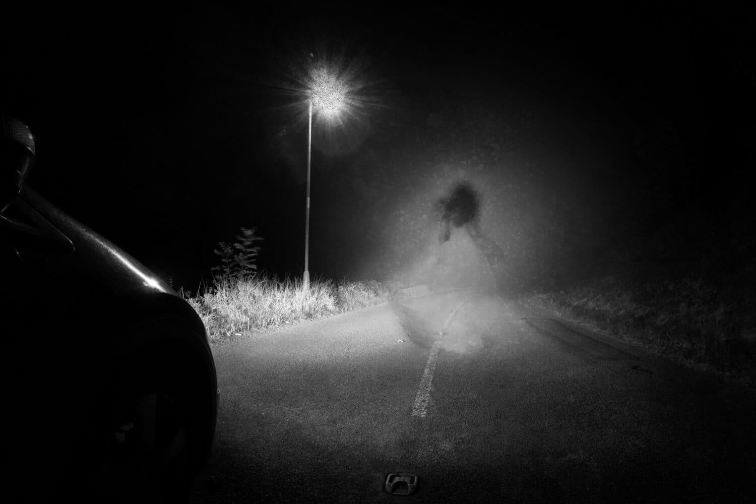 I Traveled Down Weird NJ's 'Pig Lady Road' and Here's What Happened - A ...