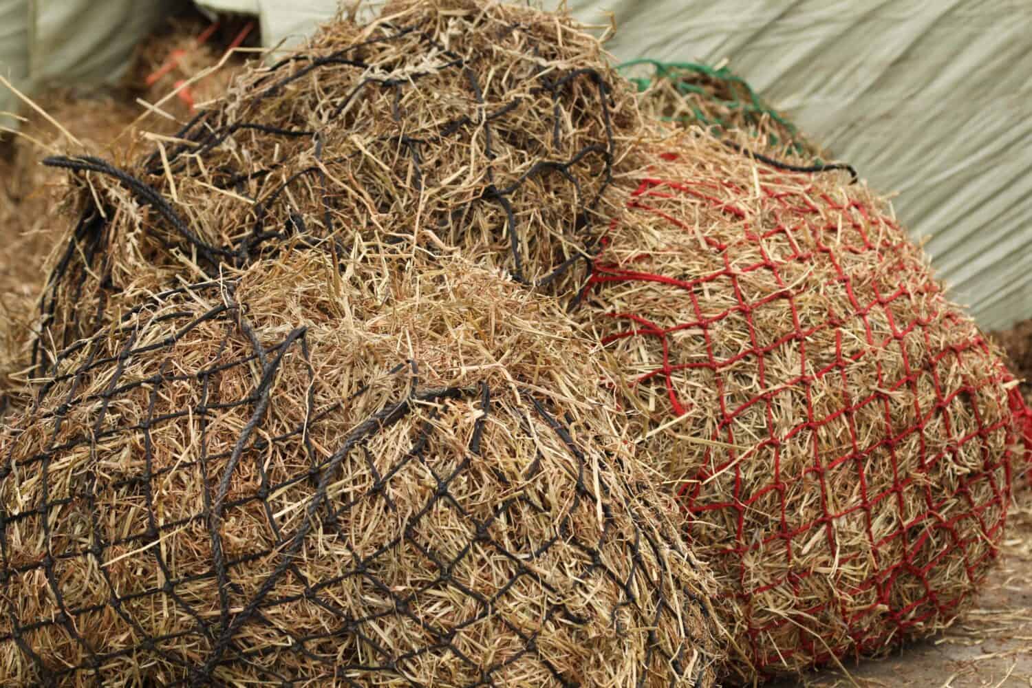 The Top 8 Most Valuable Crops Harvested in Missouri - A-Z Animals