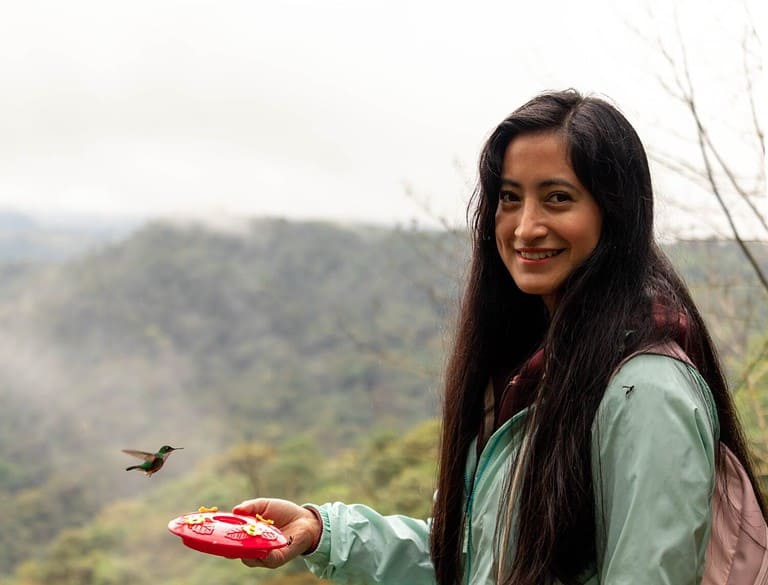 Do Hummingbirds Ever Attack Humans? - A-Z Animals