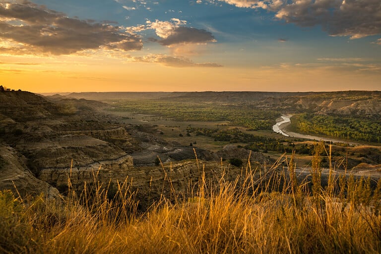 Discover the Official State Bird of North Dakota - A-Z Animals