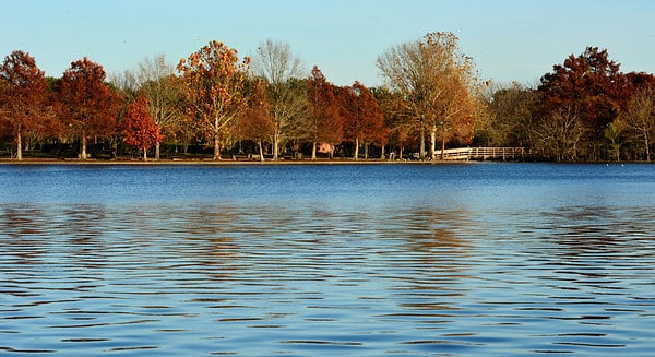 Discover When Leaves Change Color in Louisiana (and 9 Beautiful Places ...
