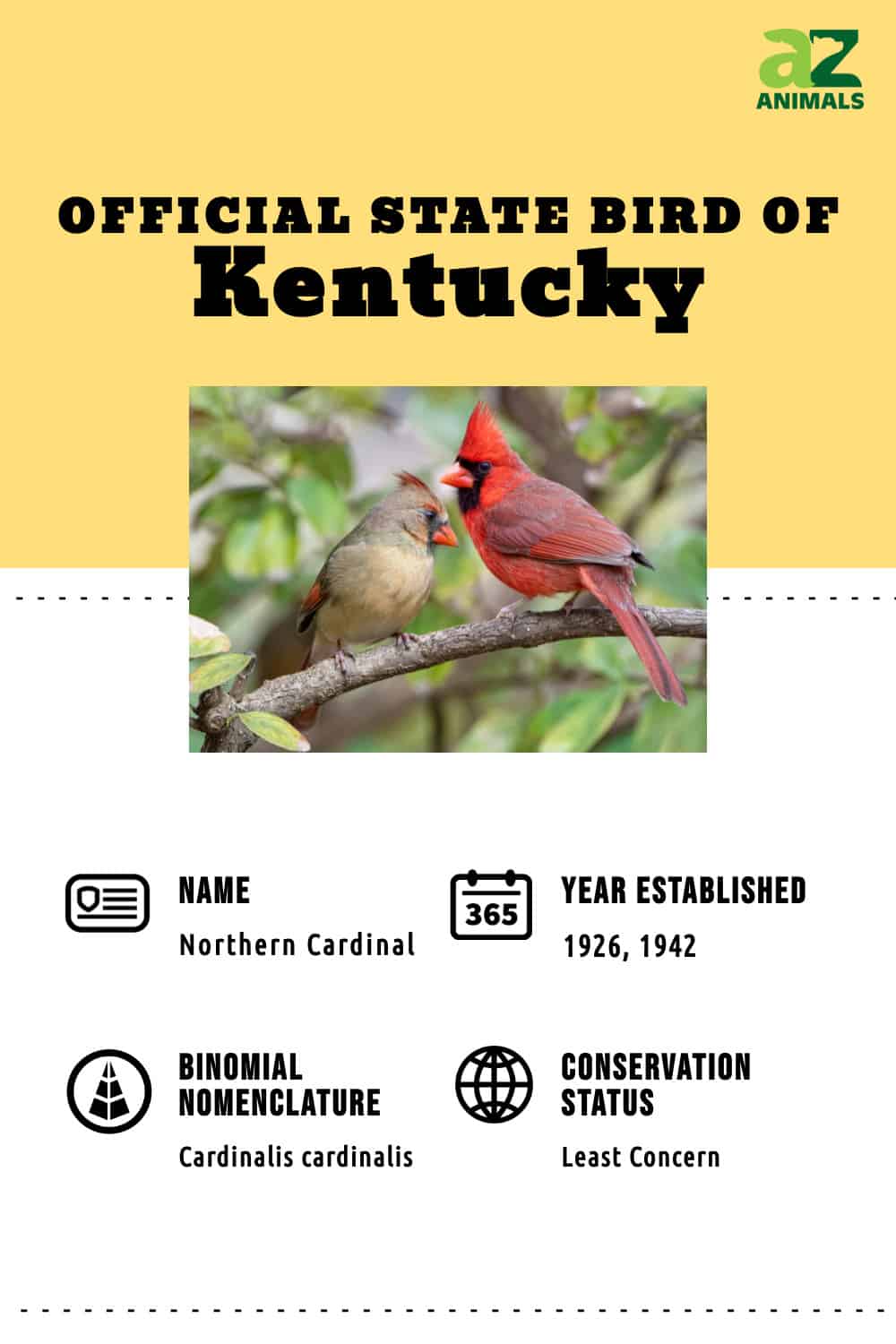 Discover the Official State Bird of Kentucky - A-Z Animals