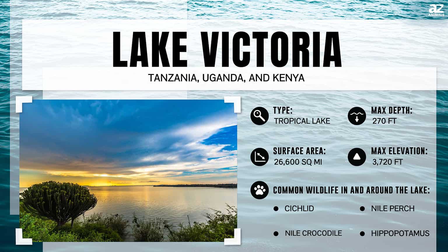 How Deep Is Lake Victoria in Africa? - A-Z Animals