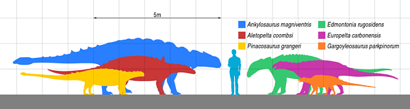 Discover the 16 Dinosaurs That Start With G - A-Z Animals
