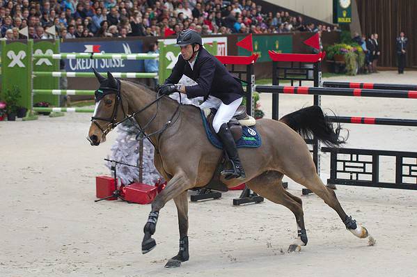 English vs. Western Riding: 8 Key Differences - A-Z Animals