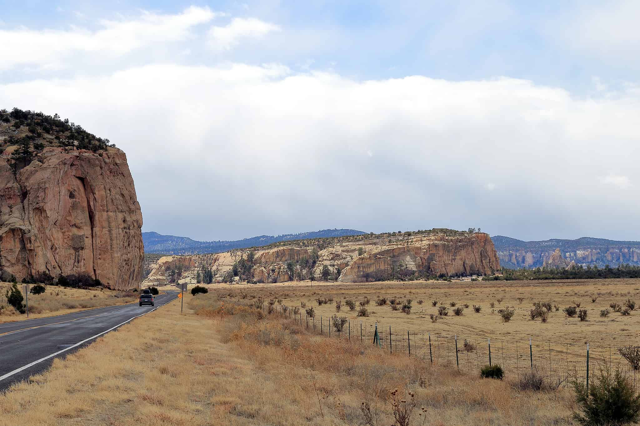 Discover the 21 States and Regions Where Armadillos Live - A-Z Animals