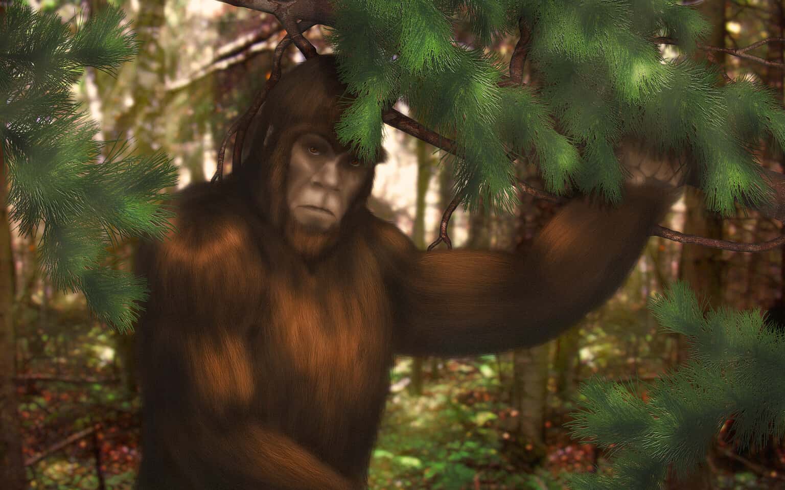 Sasquatch vs. Yeti: 5 Key Differences - A-Z Animals
