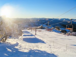 Discover the Australian Alps: Size, Location and More - A-Z Animals