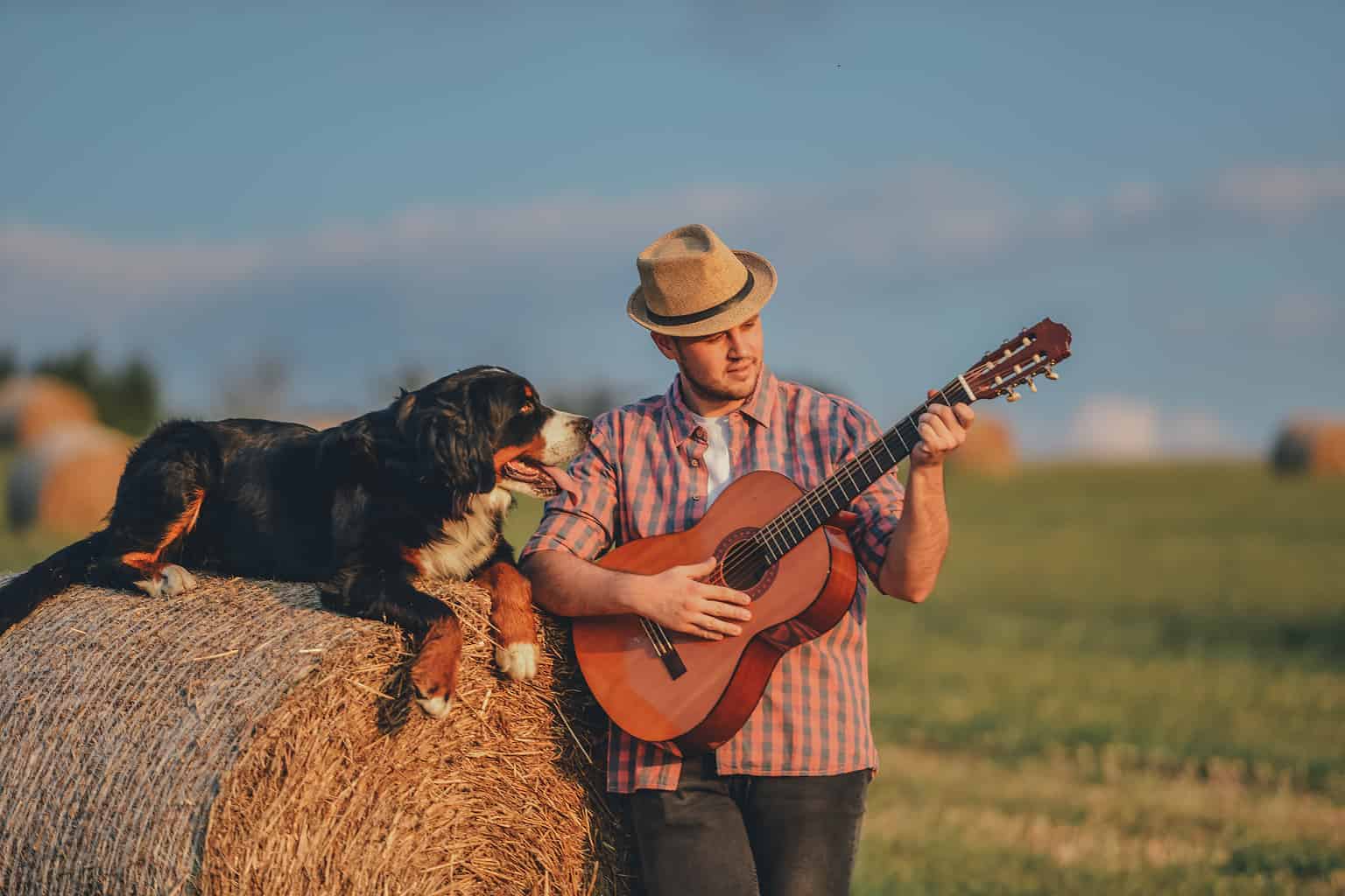 The 240+ Best Western and Cowboy Dog Names - A-Z Animals