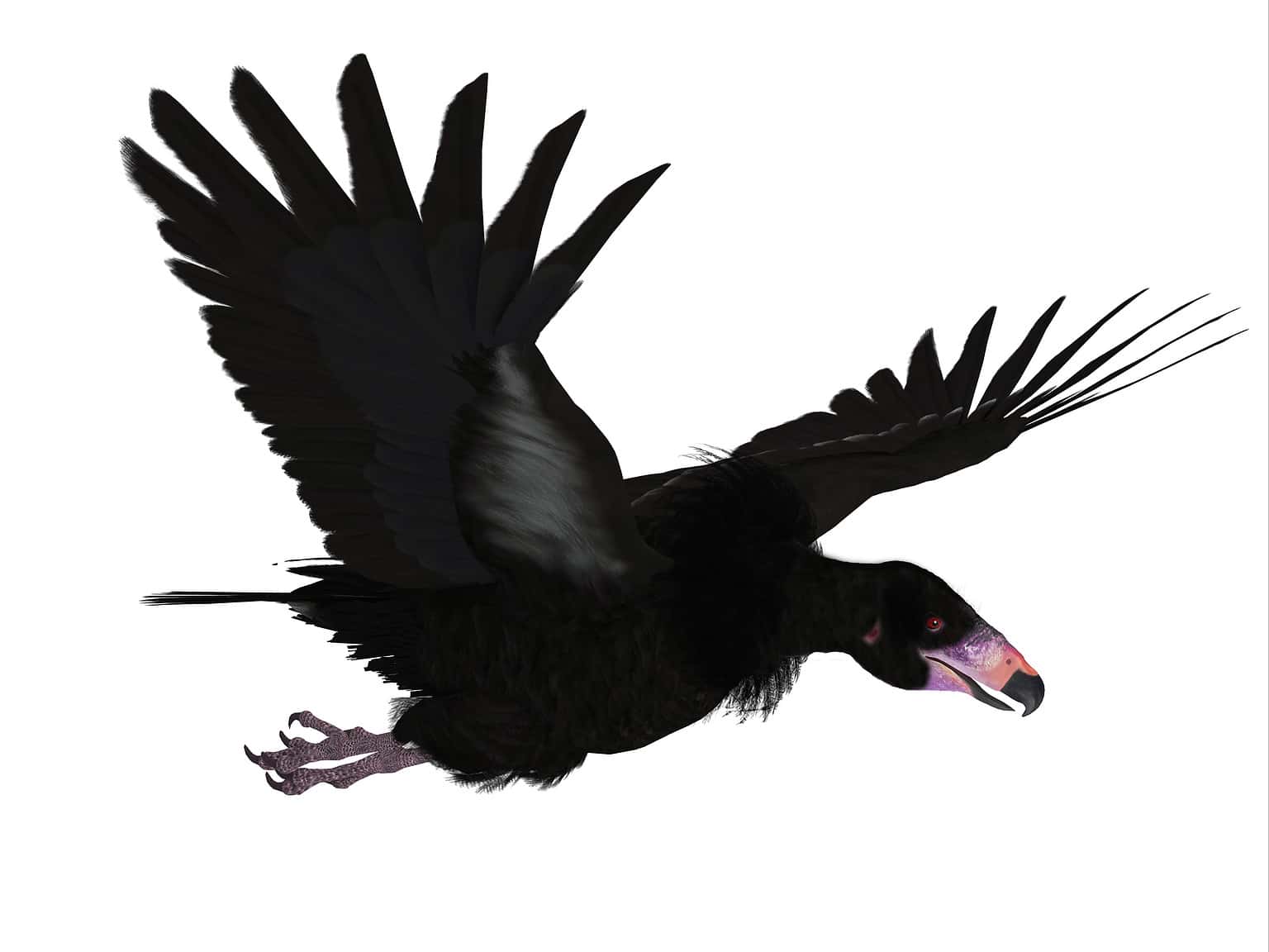 Discover Arizona's Thunderbird: Myth or Real-Life Creature? - A-Z Animals