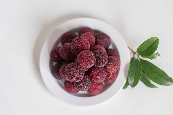 Discover the 20 Fruits That Start With Y - A-Z Animals