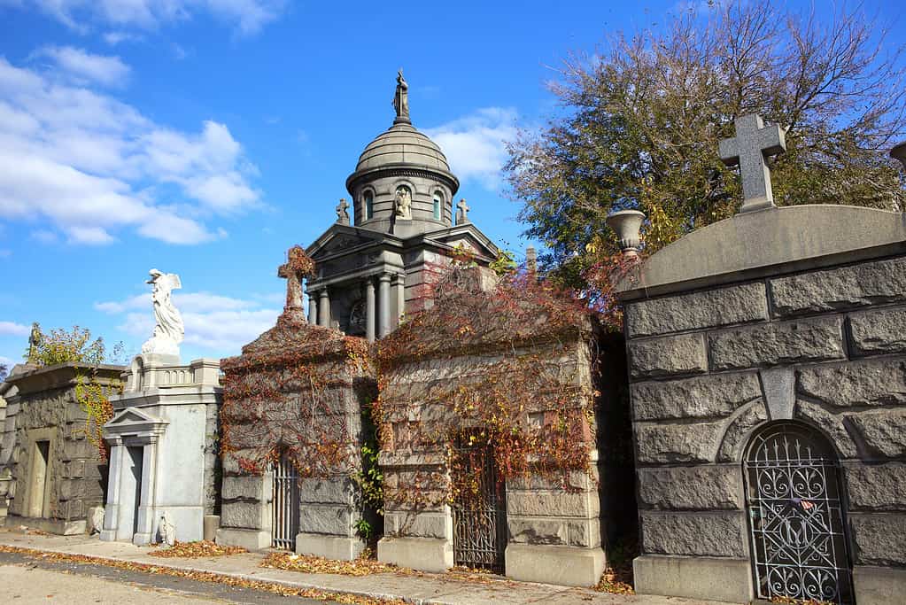 The 7 Largest Cemeteries in the United States - A-Z Animals