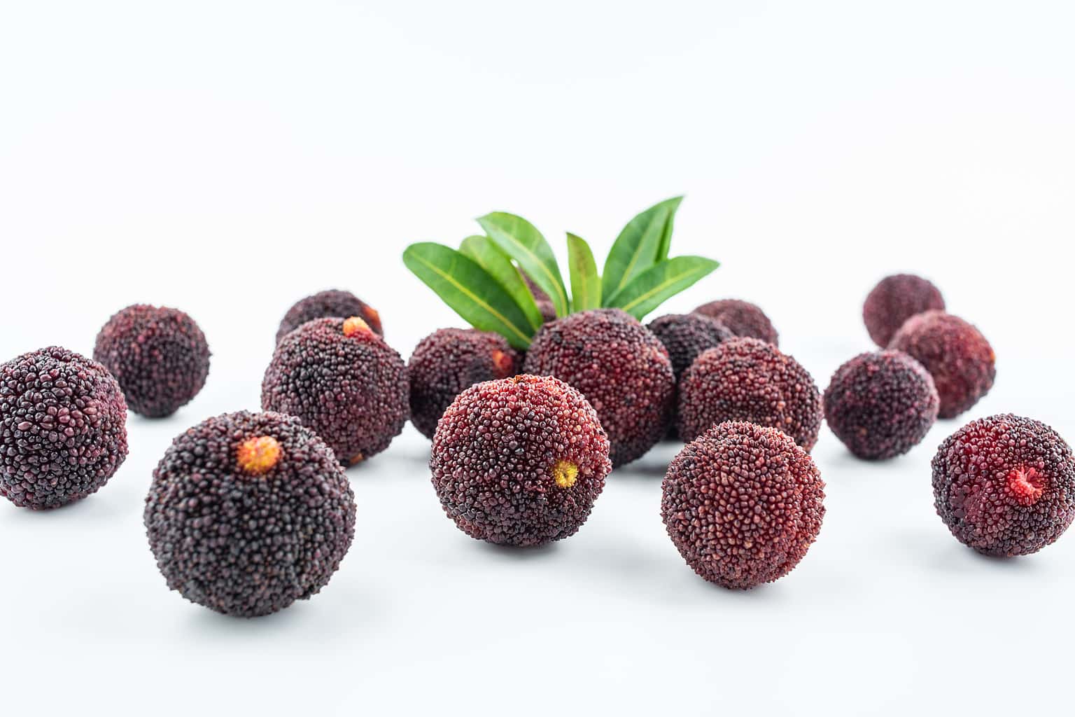 Discover the 20 Fruits That Start With Y - A-Z Animals