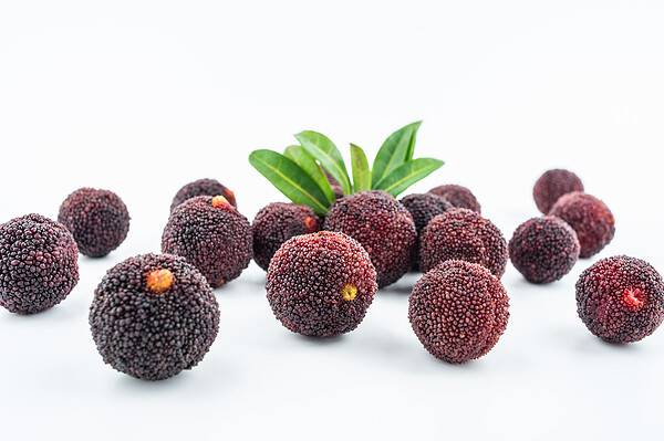 Discover the 20 Fruits That Start With Y - A-Z Animals