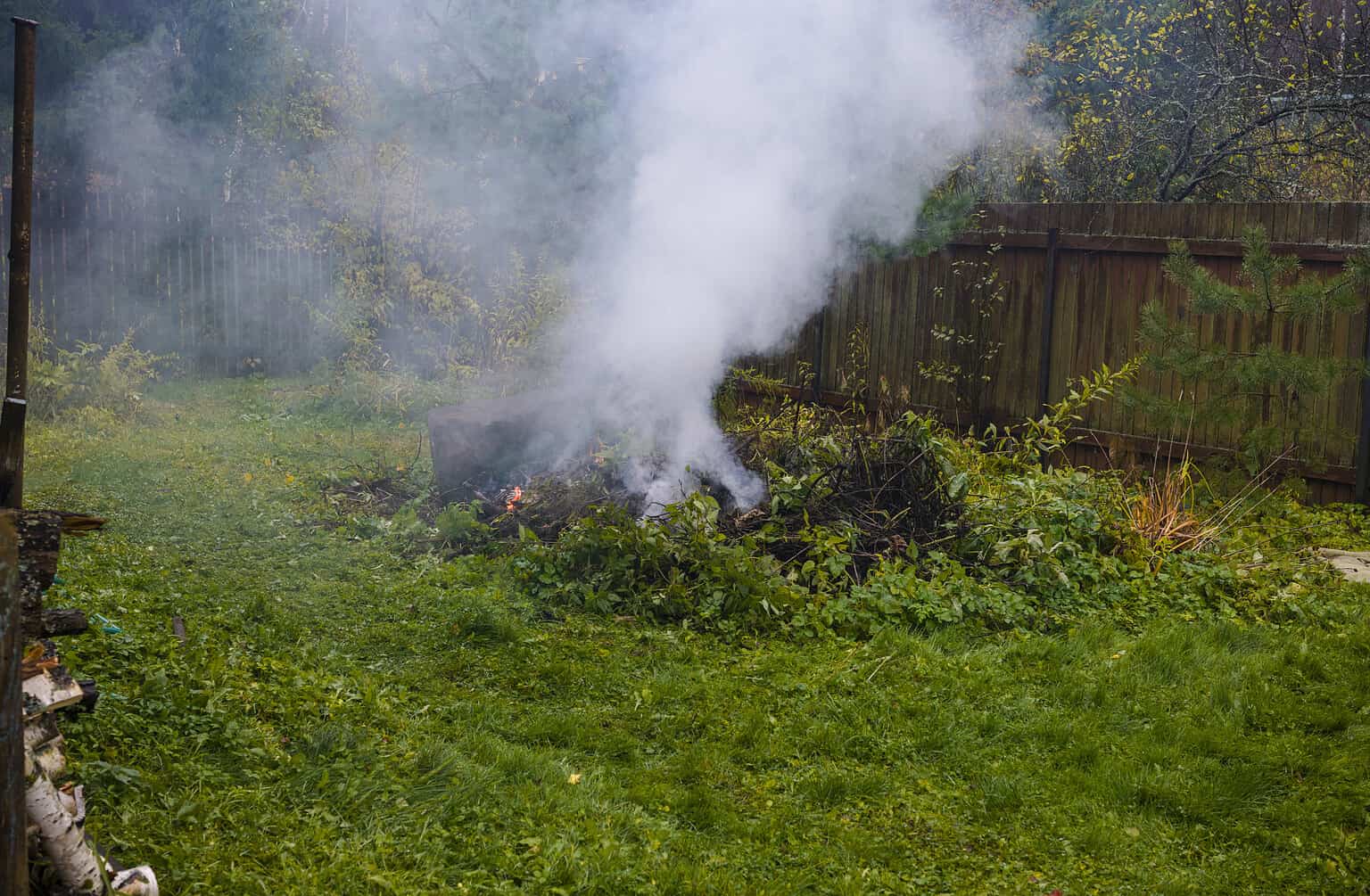 Discover 6 Smells That Moles Hate to Keep Them Out of Your Yard - A-Z ...