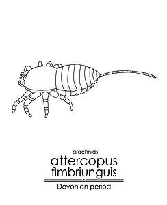 One Amazing Evolutionary Discovery and the First 7 Animals to Ever Walk ...