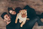 Shar Pei Progression: Growth Chart, Milestones, and Training Tips